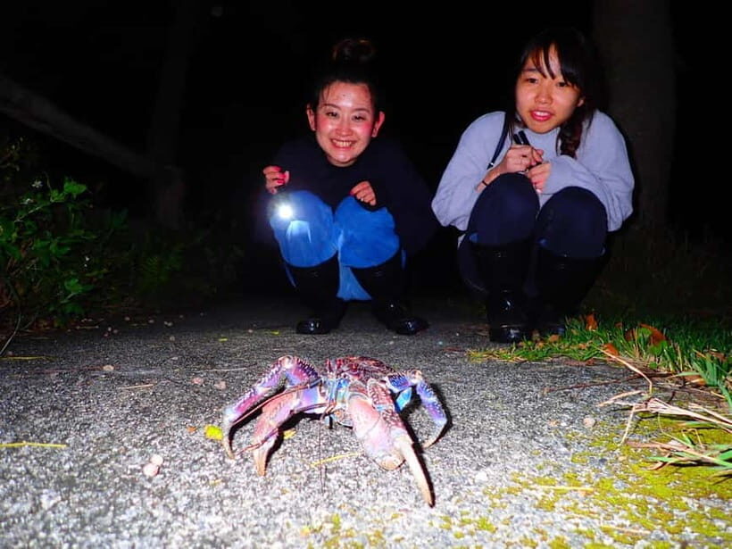 Okinawa Iriomotejima Night Adventure Tour - Authentic Encounters and Real Traveler Insights