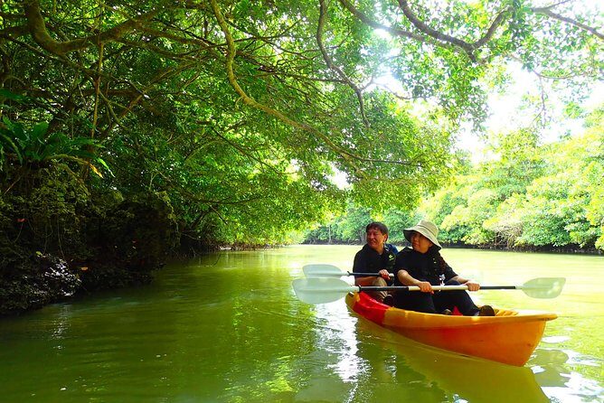 Okinawa Ishigaki Mangrove SUP or Canoe Tour - Why This Tour Offers Great Value