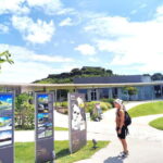 Okinawa: Katsuren Castle Ruins and Museum Guided Tour - Practical Details and What to Expect