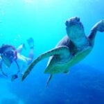 Okinawa : Kerama Whole Day Snorkeling Tour From Chatan/Naha - The Breakdown of the Itinerary