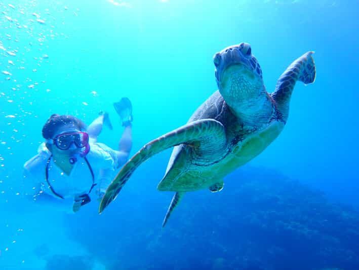 Okinawa : Kerama Whole Day Snorkeling Tour From Chatan/Naha - The Breakdown of the Itinerary