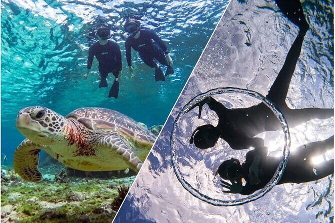Okinawa Miyako Sea turtle Snorkeling Free Pick up and Drop off - Evaluating the Value