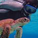 [Okinawa Miyako] SUP or Canoe + sea turtle Snorkeling(half-day) - The Itinerary: What You Can Expect