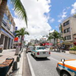 Okinawa Private Tour: Shrines, Markets & Vibrant Streets - What the Reviews Say — Authentic Perspectives