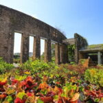 Okinawa Sightseeing Bus Tour - What the Reviews Say