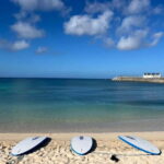 Okinawa: West Coast Stand-Up Paddleboarding Experience - What Makes This Tour Stand Out?