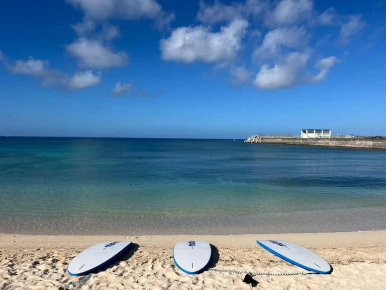 Okinawa: West Coast Stand-Up Paddleboarding Experience - What Makes This Tour Stand Out?