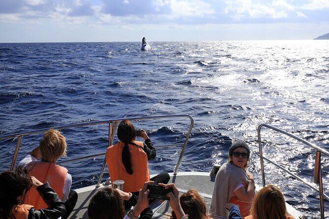Okinawa Whale Watching From Naha - The Value of This Tour