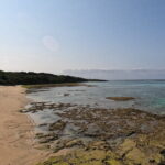 Okinawa's Gorgeous Beach & Snorkel Tour: Private & Customised - The Practicalities: What’s Included and What You Might Need to Know