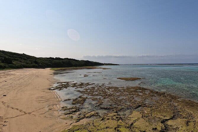 Okinawa's Gorgeous Beach & Snorkel Tour: Private & Customised - The Practicalities: What’s Included and What You Might Need to Know