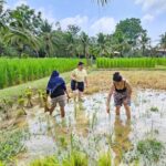 Old Phuket Farm Ticket - Countryside Local Life Culture - Authenticity, Animal Welfare, and Cultural Depth