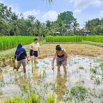 Old Phuket Farm Ticket - Countryside Local Life Culture - Real Traveler Perspectives