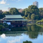 Old Tokyo History Coffee Gardens and Traditional Street Food - Who Will Love This Tour?