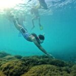 OnBird - PRIVATE ADVENTURE SNORKELING - explore Half-moon reef & Coral Mountain - Itinerary Breakdown: What to Expect