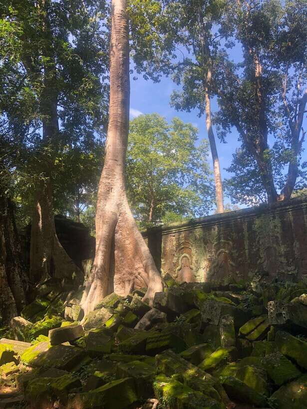 One Day Angkor Wat Bayon Ta Prohm from Siem Reap - Authentic, Comfortable, and Well-Organized