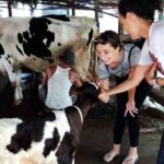 One day be Farmer and Master chef in Saigon - Authentic Experiences and Authentic Food — What Travelers Say