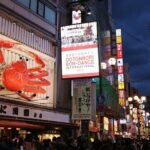 One Day Customized Self-Guided Tour in Osaka - The Practicalities: What to Expect from This Tour