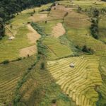 One day Doi Inthanon & Trekking at Pha Dok Siew - Final Thoughts: Who Should Consider This Tour?