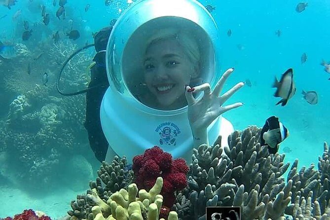 One Day Experiences In The Natural Life Nha Trang - Who Will Love This Tour?