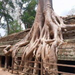 One Day Exploration to Angkor Wat, Angkor Thom & Ta Prohm - A Deep Dive Into the Tour Experience