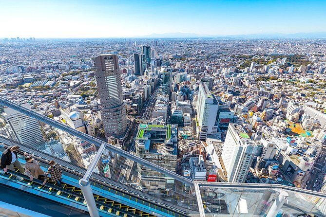 One Day Highlights Tour of Tokyo including Shibuya Sky Tickets - Key Points to Keep in Mind