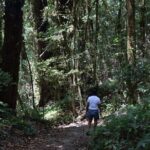 One Day Inthanon National Park (Private Tour) - Exploring Cultural Landmarks: The Twin Pagodas