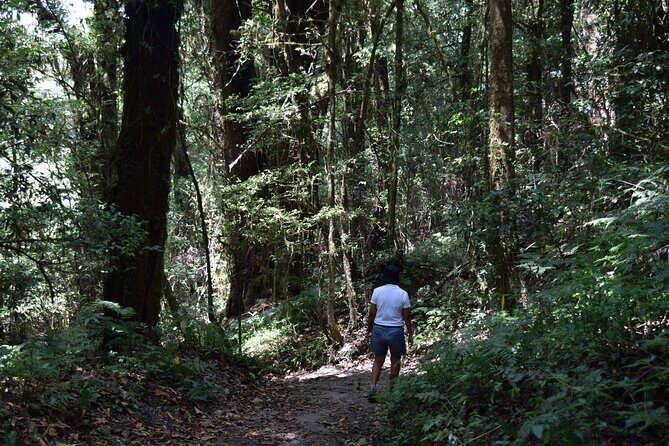 One Day Inthanon National Park (Private Tour) - Exploring Cultural Landmarks: The Twin Pagodas