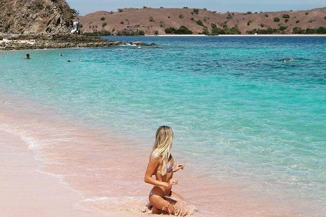 One Day Komodo Trip (Sailing) - Exploring Komodo National Park