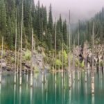 One Day Private Kolsay and Kaindy Lake, Charyn and Black canyon - The Practical Side: What to Expect