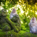 One Day Private Tour From Benoa Port Bali - A Closer Look at the Itinerary