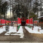 One Day Private Tour in Nikko from Tokyo - What the Tour Includes and What It Doesn’t