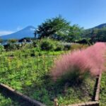 One Day Private Tour of Mount Fuji - Transport and Logistics