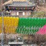 One Day Private tour to World Heritage GyeongJu from Busan - Who Would Love This Tour?