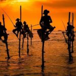 One Day Shore Excursion to Down south Sri Lanka - What We Think About the Overall Value