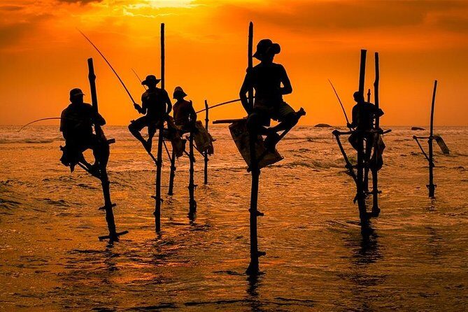 One Day Shore Excursion to Down south Sri Lanka - What We Think About the Overall Value