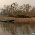 One Day Tour inside Chitwan National Park - Summing Up: Who Will Enjoy This Tour?