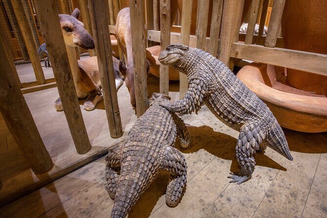 One Day Tour Nashville To Ark Encounter - Who Is This Tour Best For?