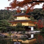 One-Day Tour of Kyoto's Highlights from Osaka/Kyoto - What Travelers Are Saying