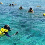 One Day Tour Pink Beach East Lombok Excursion - The Real Traveler’s Perspective