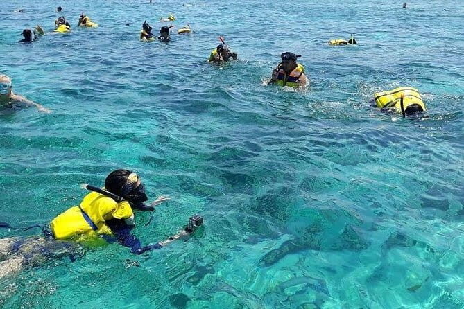 One Day Tour Pink Beach East Lombok Excursion - The Real Traveler’s Perspective