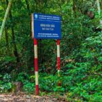 One Day Trekking Cat Ba National Park - The Itinerary Breakdown
