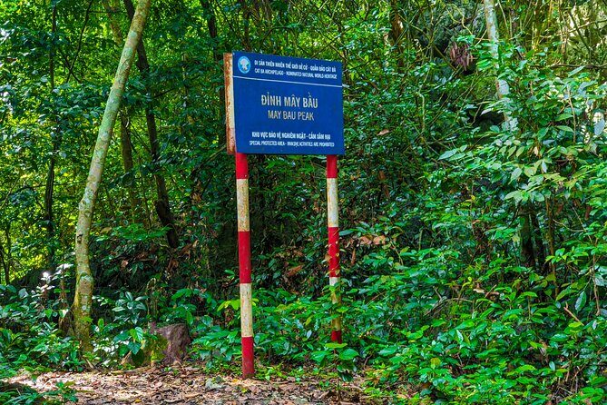 One Day Trekking Cat Ba National Park - The Itinerary Breakdown