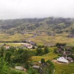 One day Trekking in Sapa and Muong Hoa Valley with local guide - Why This Tour Offers Great Value