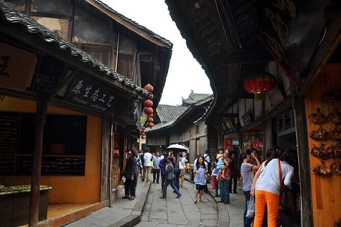 One Day Trip to Chengdu Panda Base and Leshan Buddha Tour - The Private Transportation Experience