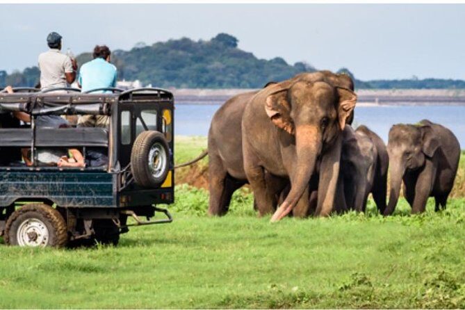 One day Yala National Park from Galle/Hikkaduwa/Mirissa/Unawatuna - The Basics of the Tour
