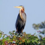 One Night Camping in Kumana National Park - FAQ