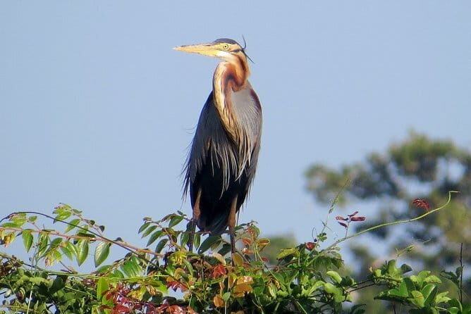 One Night Camping in Kumana National Park - FAQ