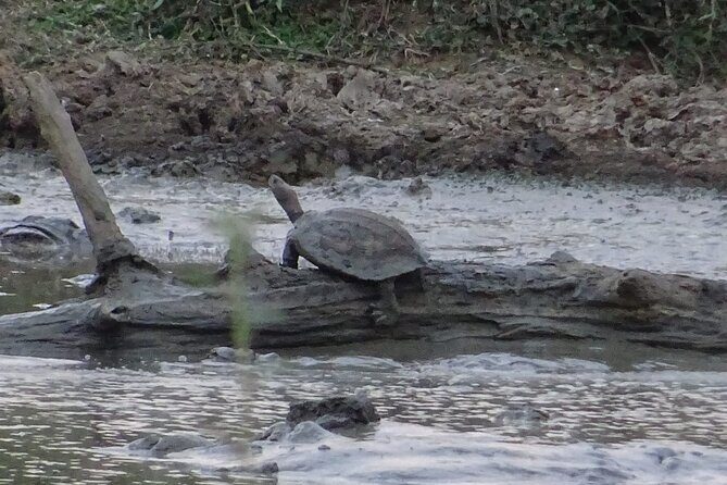 One Night Camping in Yala National Park - Why Choose This Tour?