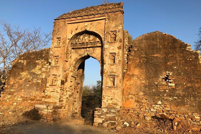 One Way Transfer From Bundi To Udaipur Drop With Optional Stop at Chittorgarh - Final Thoughts