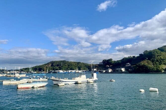 Onomichi and Ikuchijima Island Tour Temples Ropeway and Ferry - Who Will Love This Tour?